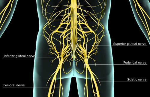 The Common Symptoms of Neuralgia – Carolina Pain Scrambler Center